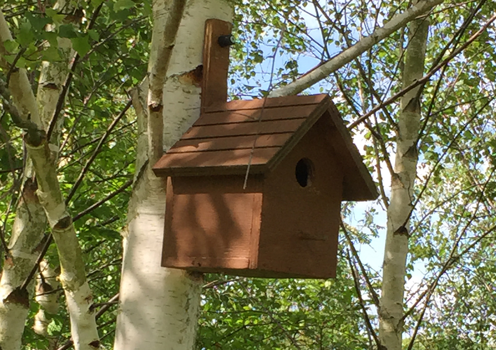 birdbox - The Natural Burial Company